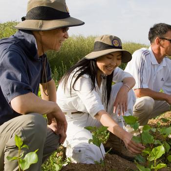 What is Rotary? | Rotary Club of Auckland